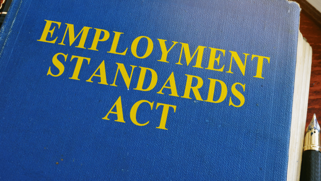 TDS Personnel Blog – HR insights, tips & company updates